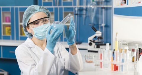 Majors & Programs – HSBF